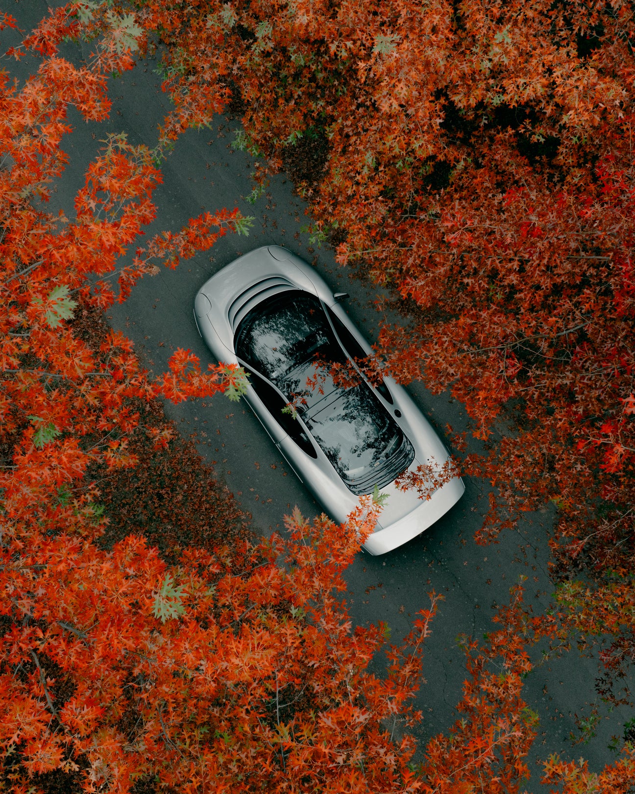 NORTHBORDERS | Photography Presets & Merch